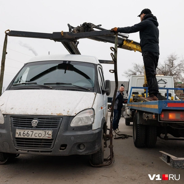 В Волгограде прошел масштабный рейд силовиков по мигрантам — как это ...