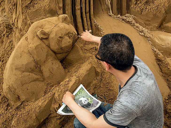 Медвежья заслуга | Публикации | Вокруг Света