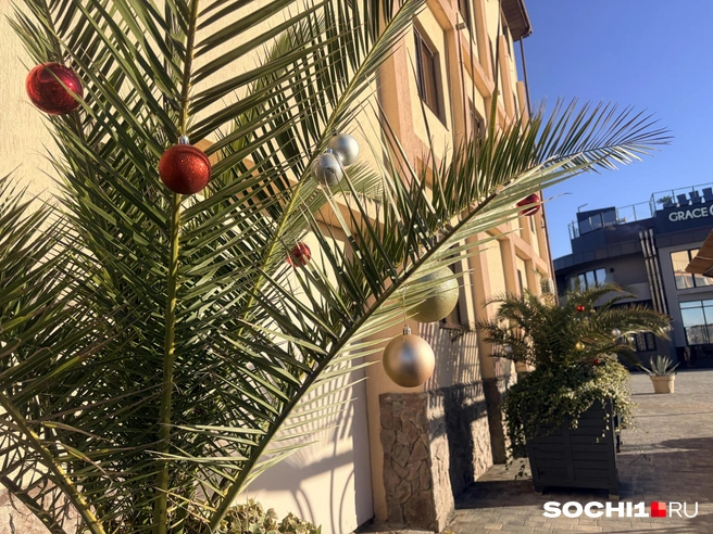 Что лучше — Абхазия или Сочи на Новый год, когда море холодное, а снега ...