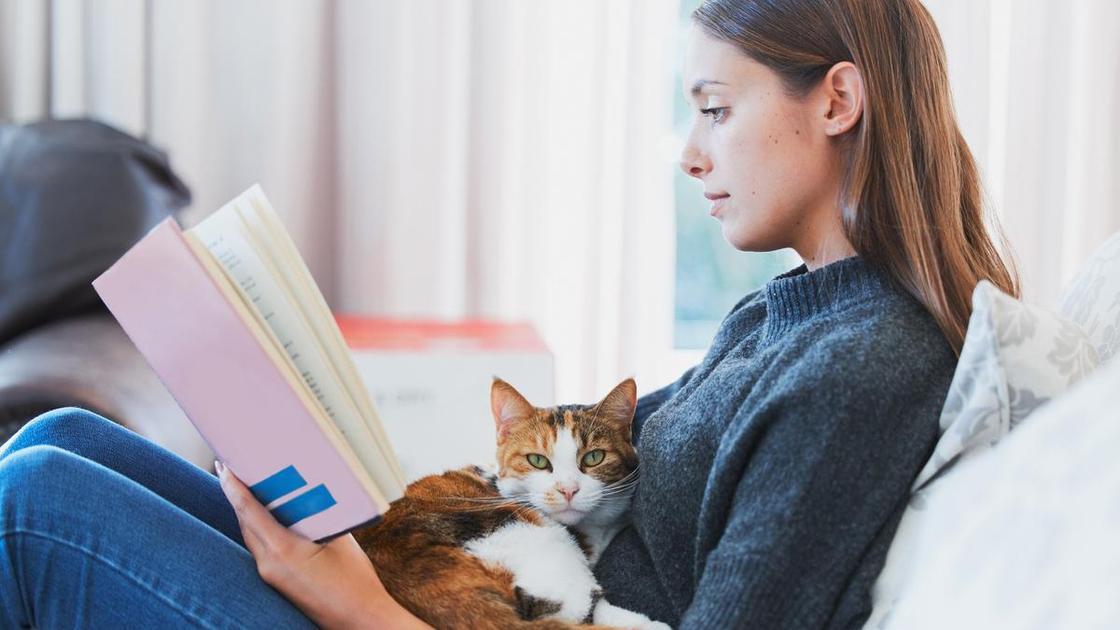 Красавцы с тяжелой судьбой: как преображаются уличные котики, когда попадают в добрые руки (фото ...