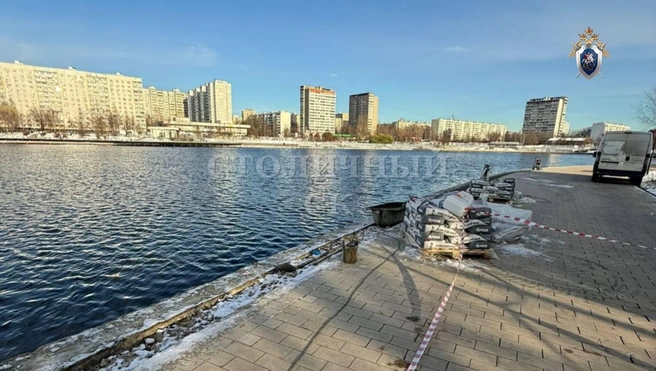 В Москве водолазы продолжают осматривать пруд, где выловили части тела ...