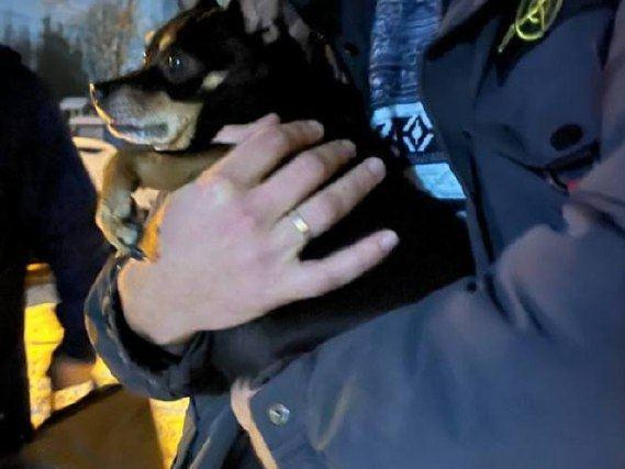 Страница 191 - Новости | STARHIT