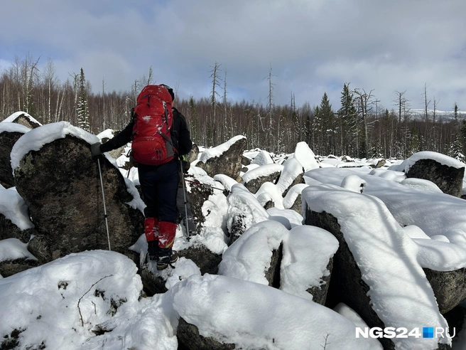 Почему семью Усольцевых не могут найти в тайге спустя 3 месяца ...
