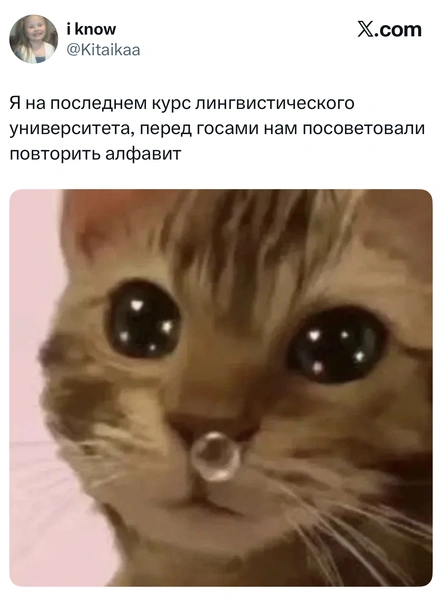 Самые смешные шутки из Twitter: подборка от MAXIM | MAXIM