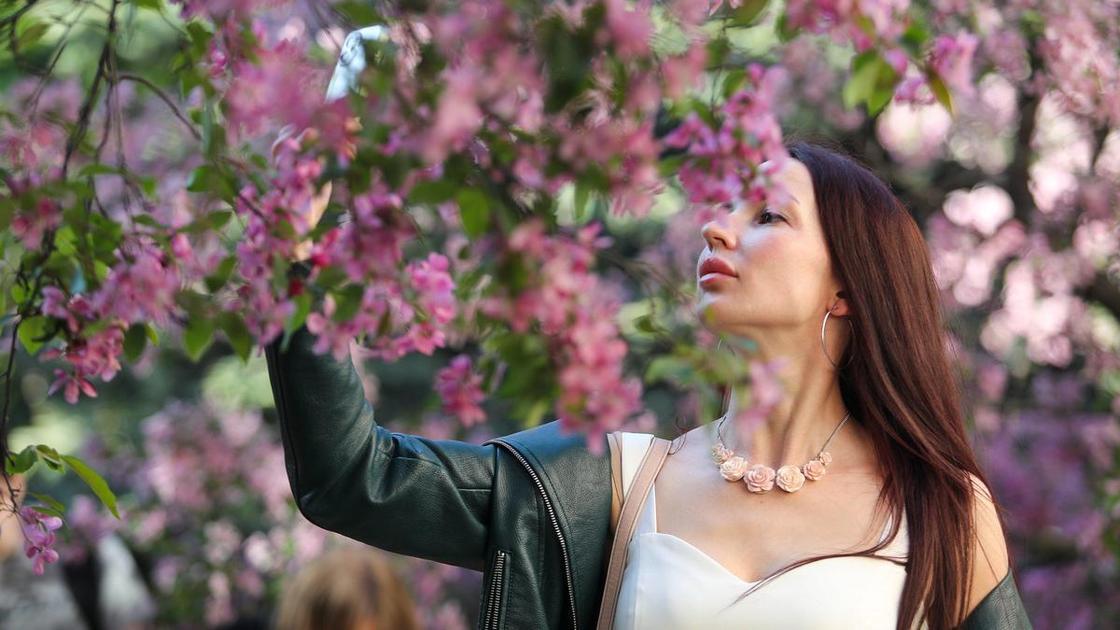 Зима вернулась, но надолго ли: какой будет весна 2025 по мнению синоптиков | StarHit (СтарХит)