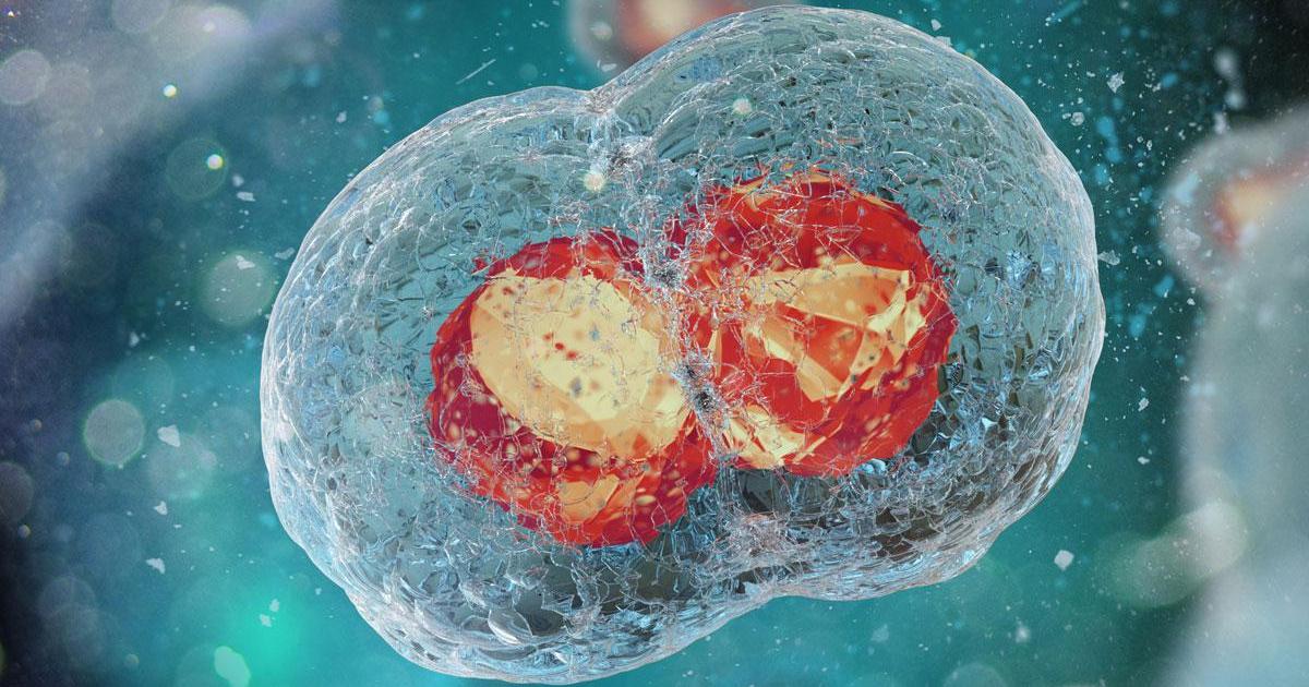 Как могла возникнуть первая клетка? | Вокруг Света