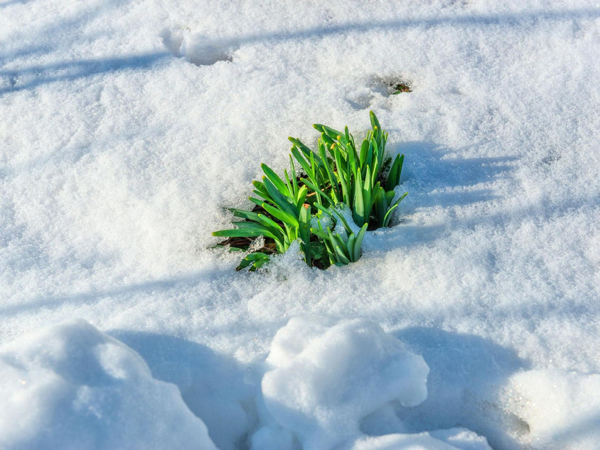 Страница 687 - Новости | STARHIT