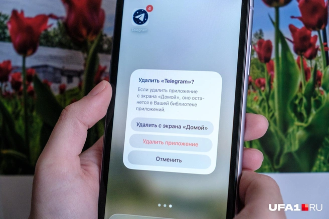 В России могут ослабить блокировку Telegram: что об этом пишут СМИ - 14 ...