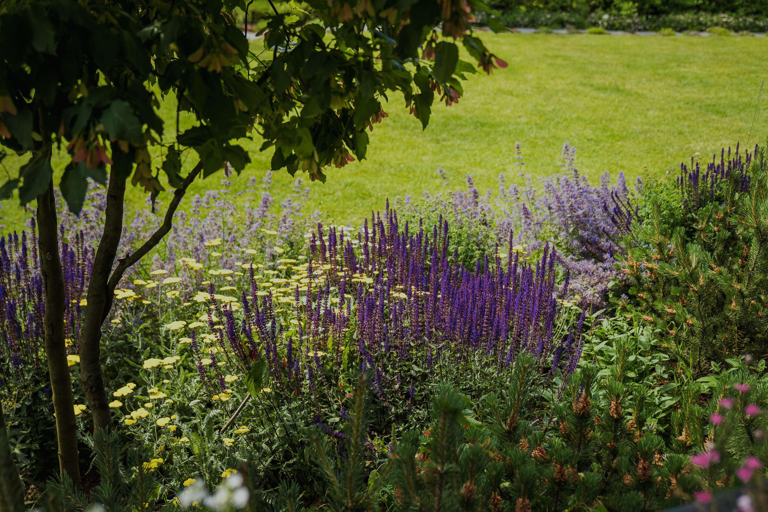 Дневник L.BURO — Teletype