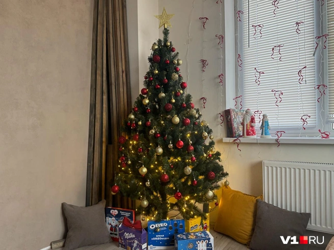 Биолог рассказал, каких клещей приносят с елкой домой и чем они опасны ...