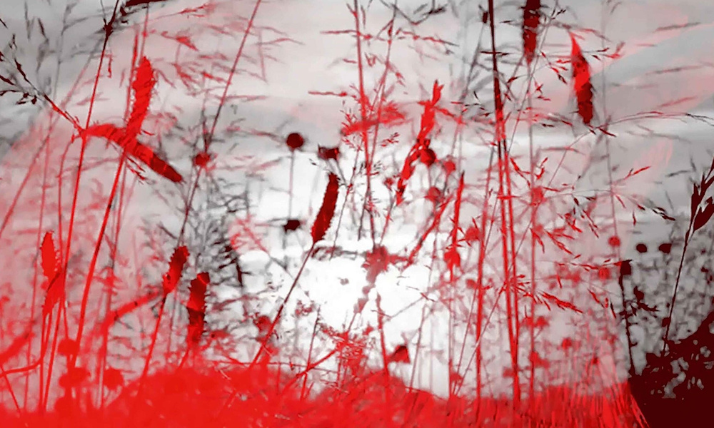 Человек и цифровой мир в новом проекте ММОМА | myDecor