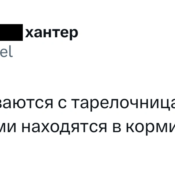 Лучшие шутки недели и «десять вечностей» | MAXIM