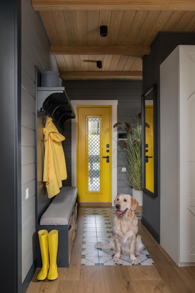 Крашеные двери: 35+ ярких примеров | myDecor