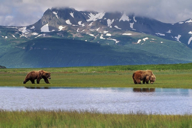 Кто и почему продал Аляску - 13 августа 2025 | ФОНТАНКА.ру