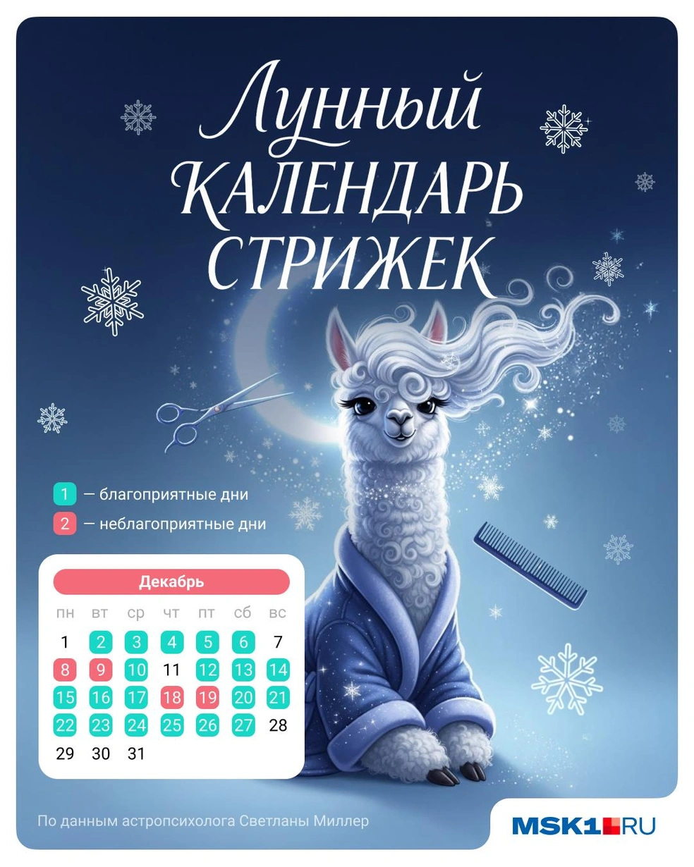 Лунный календарь стрижек на декабрь 2025 года: благоприятные и ...