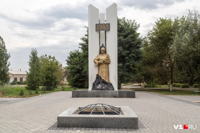 Новости Волгограда за 29 декабря: избиение подростков, гениталии в ...