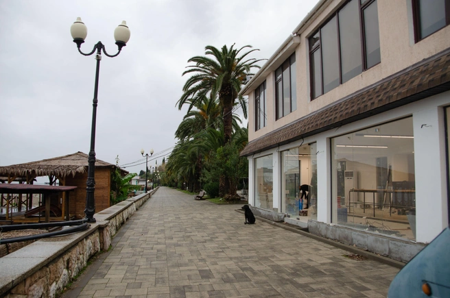 Зимний вечер в Гагре: скучно или идеально? Показываем атмосферу — фото ...