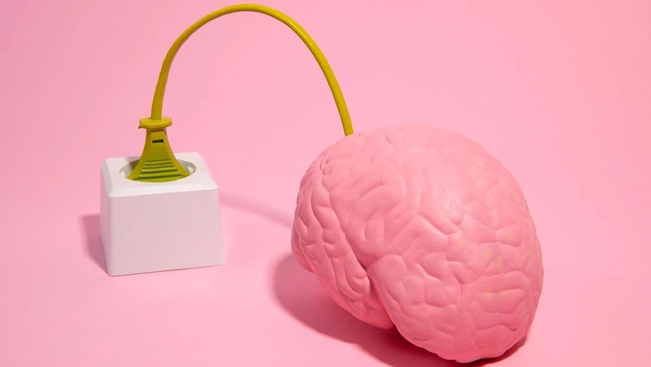 Тест: если назовете все 7 слов правильно — ваш IQ выше среднего | StarHit (СтарХит)