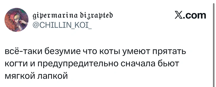 Самые смешные шутки четверга и «пицца четыре картошки» | MAXIM
